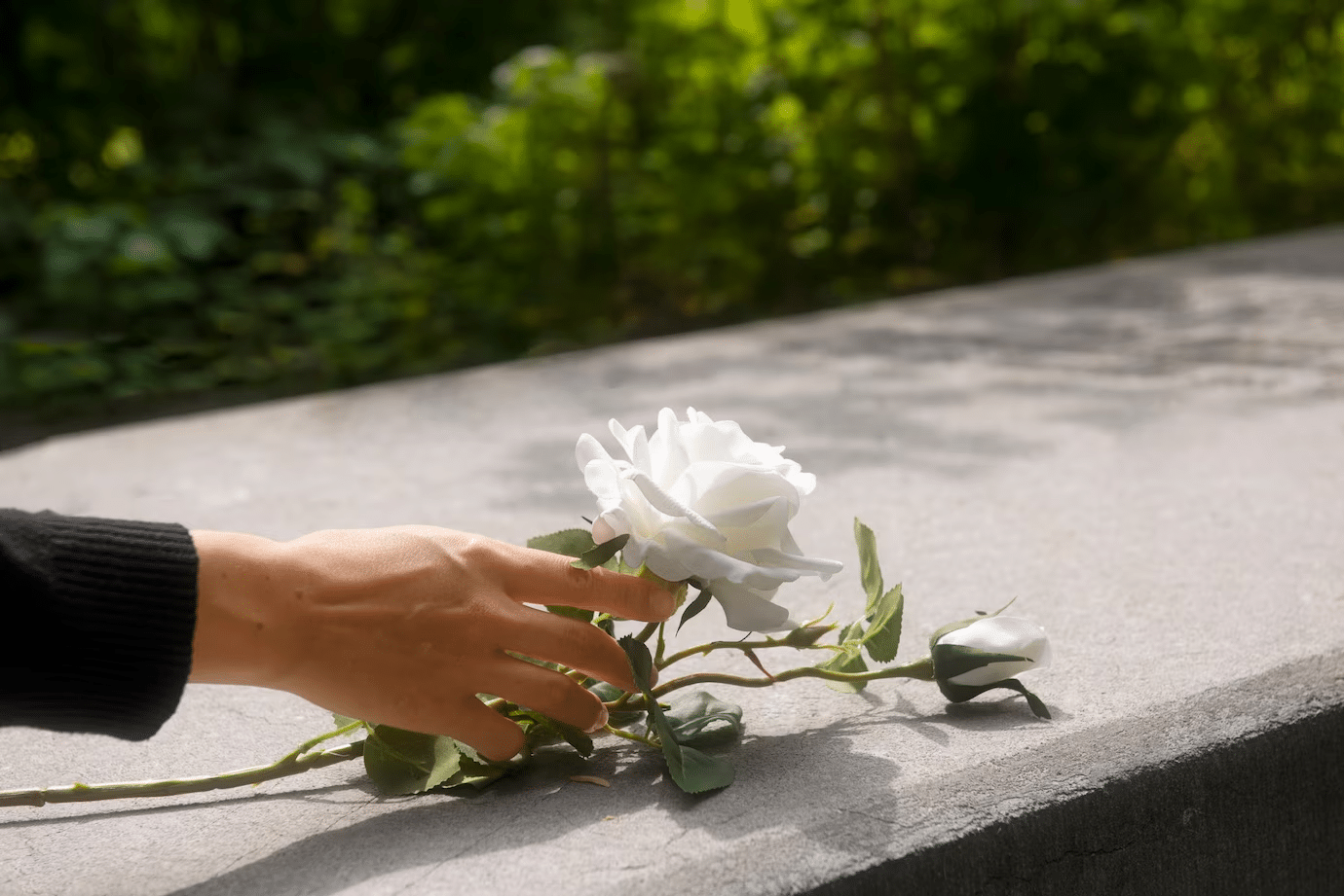 Servicios funerarios del IMSS en México